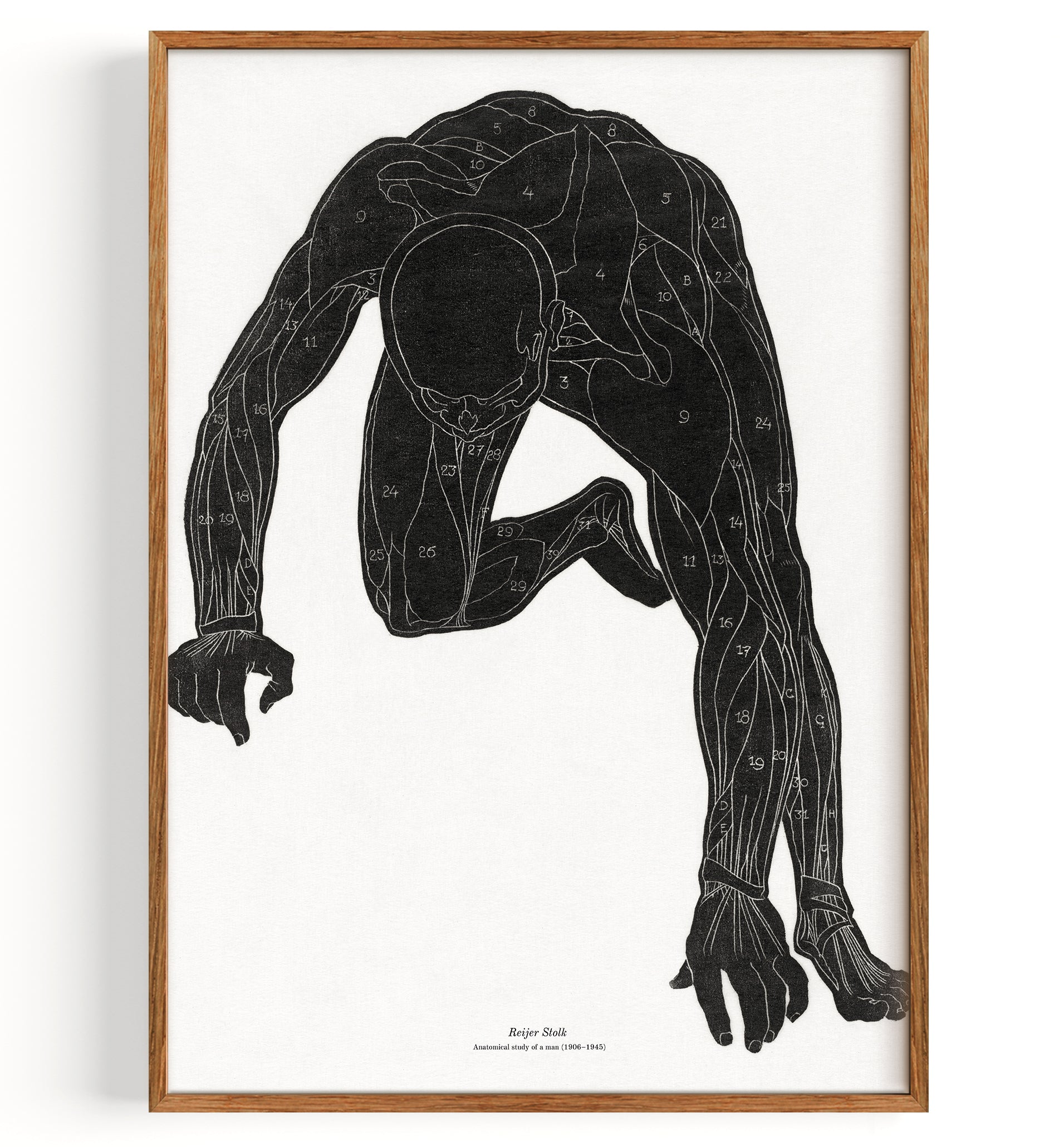 Disegno Del Braccio Muscoloso